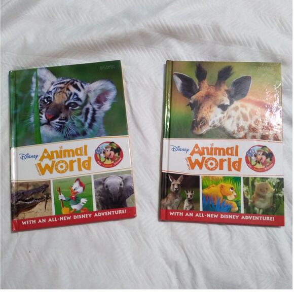 Disney | Other | Childrens Book 2 Disney Animal World | Poshmark